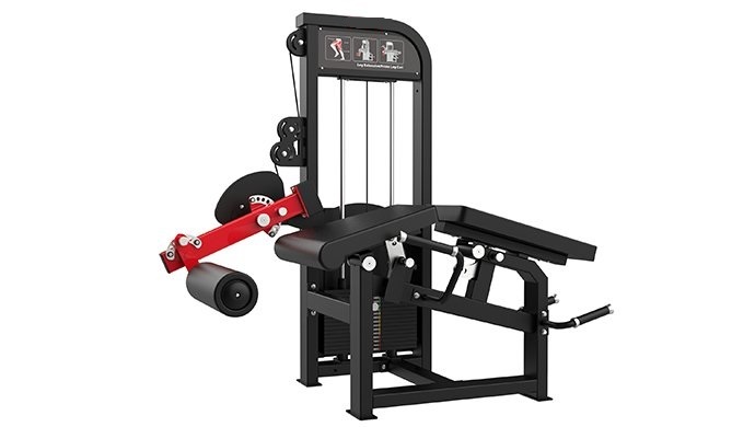 BP Dual Leg Extension/Curl Prono Executive :: Sportivamente Store